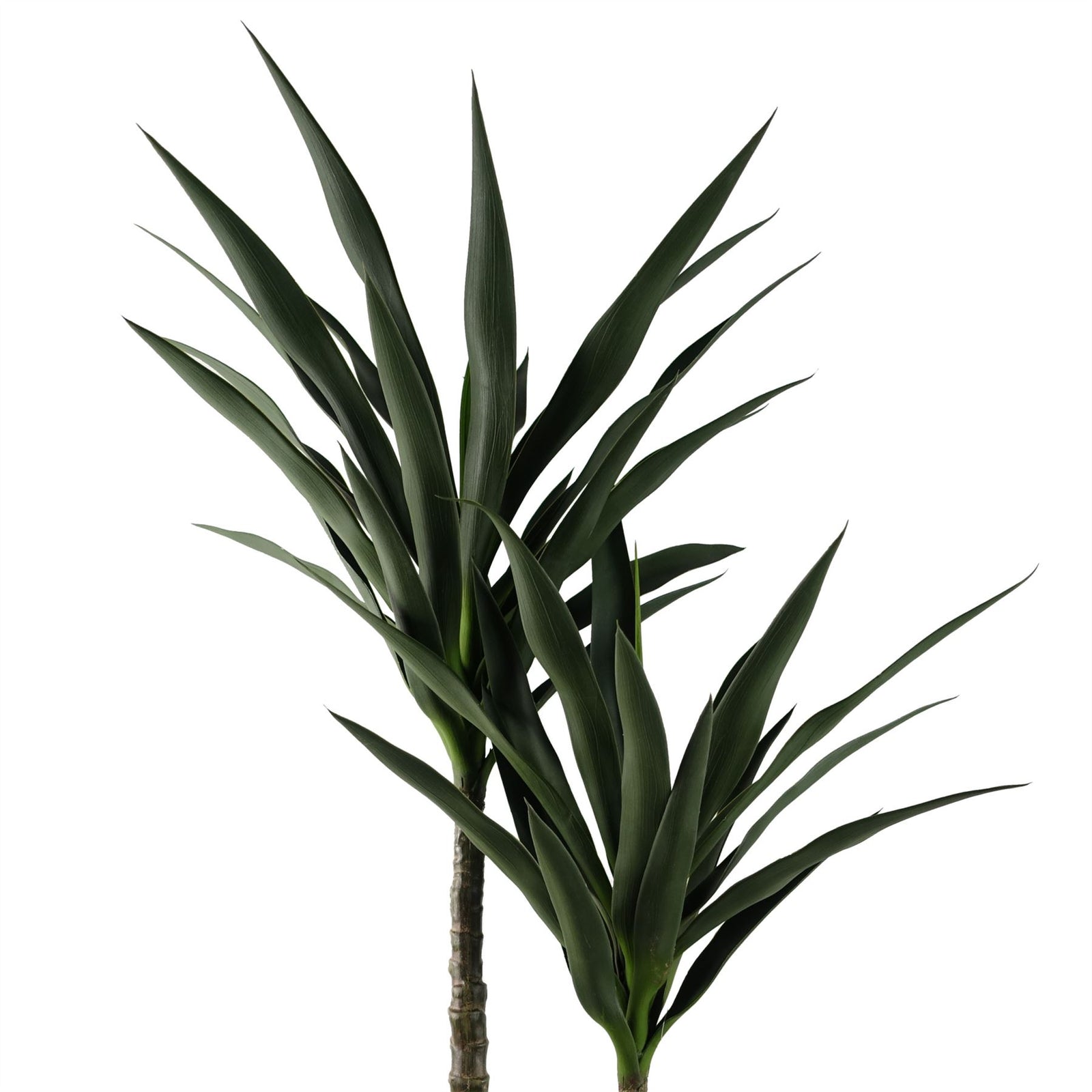 Leaf Yucca Tree Uv Resistant Outdoor 120cm Botanik | Yimbly