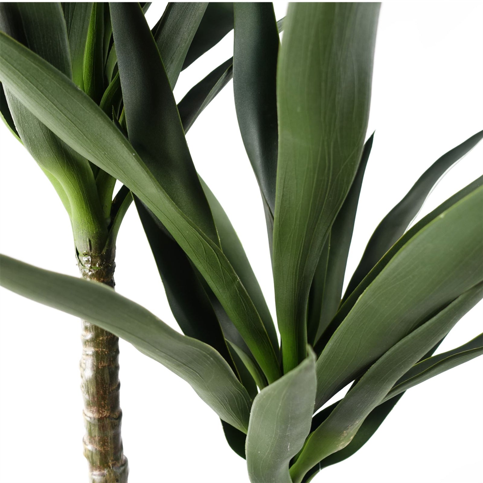 Leaf Yucca Tree Uv Resistant Outdoor 120cm Botanik | Yimbly